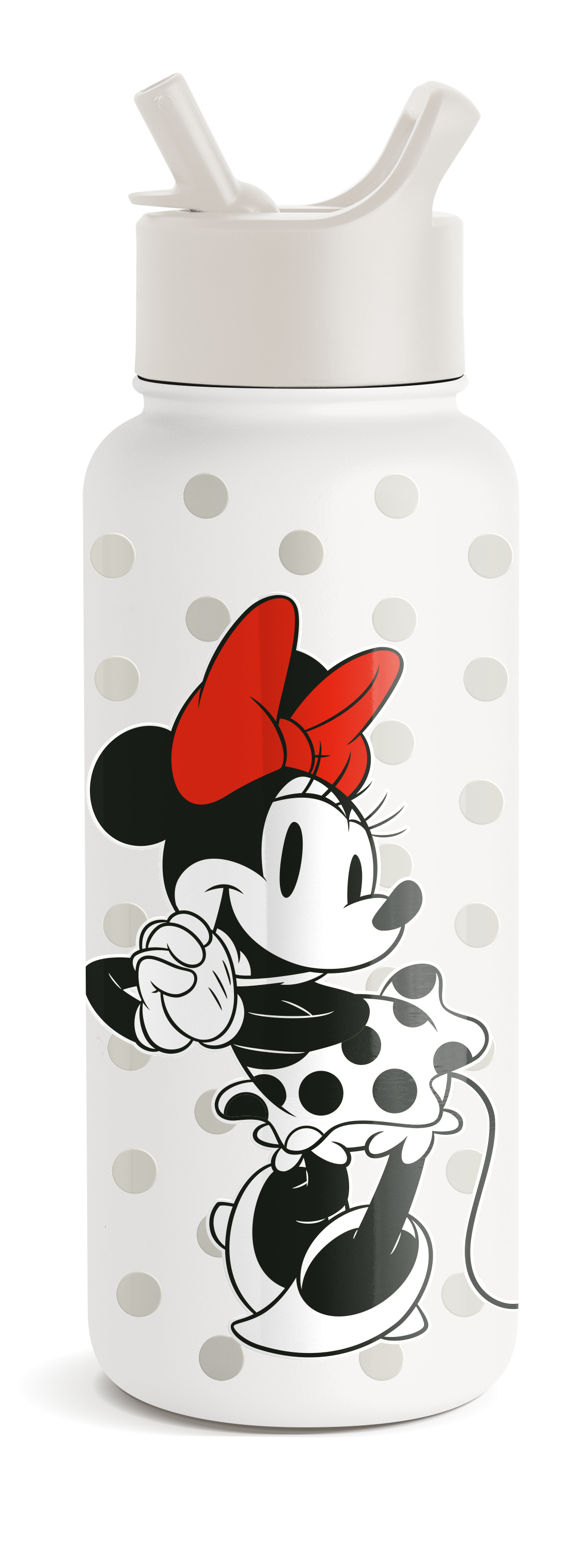 Disney Summit Water Bottle with Straw Lid (N7S5) – Simplemodern